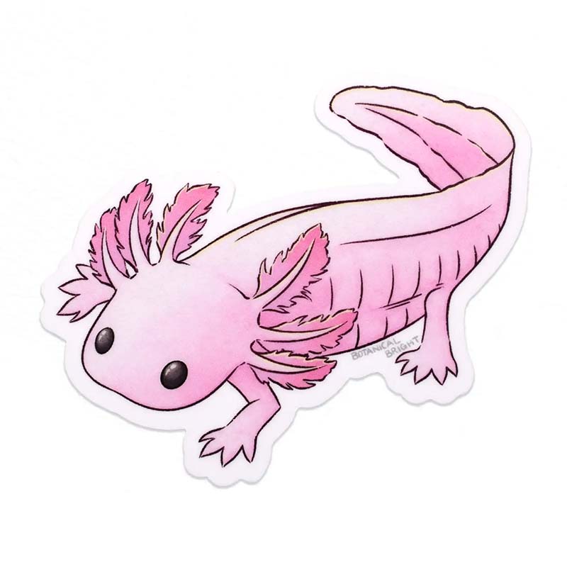 Axolotl - vinyl sticker badge - i heart badges